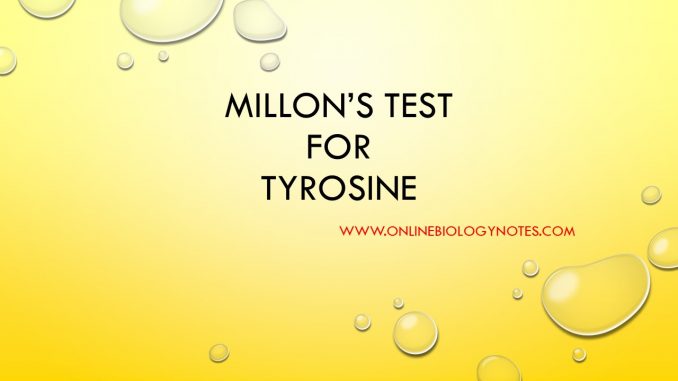 Millon’s test: Objective, Principle, Reagents, Procedure and Result ...
