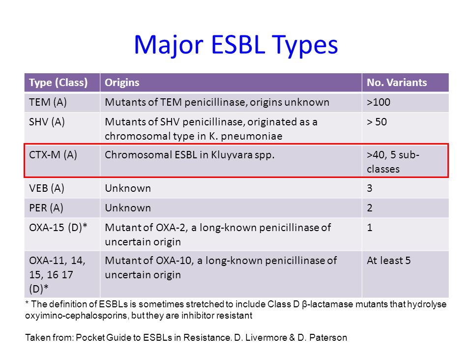ESBL Extended Spectrum Beta Lactamases And Types Online Biology Notes ESBL Extended Spectrum Beta Lactamases And Types Online Biology Notes
