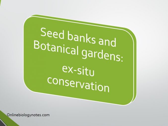 Strategies for biodiversity conservation - Online Biology Notes