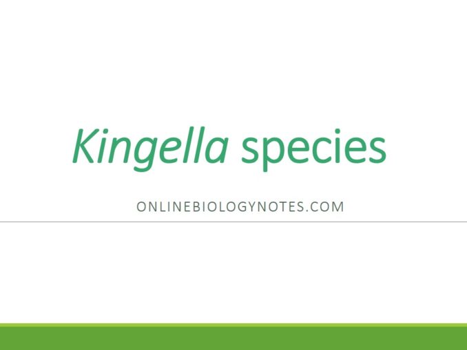 Online Biology Notes - Page 3 of 58 - A Complete notes for Students